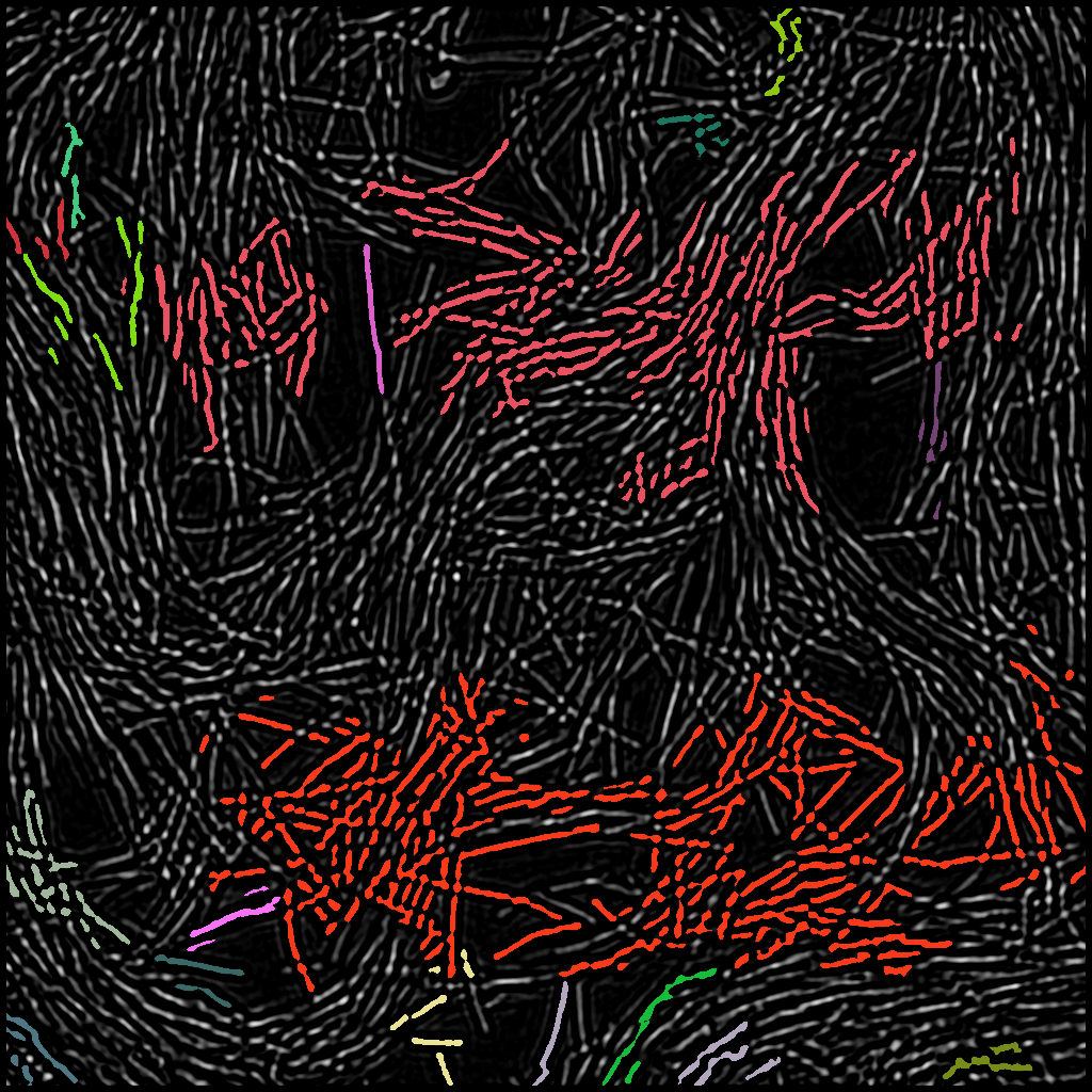 Learning the complete dynamical phase diagram of bacterial swarming