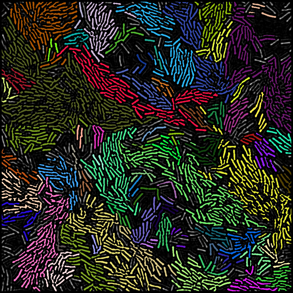 Learning the complete dynamical phase diagram of bacterial swarming