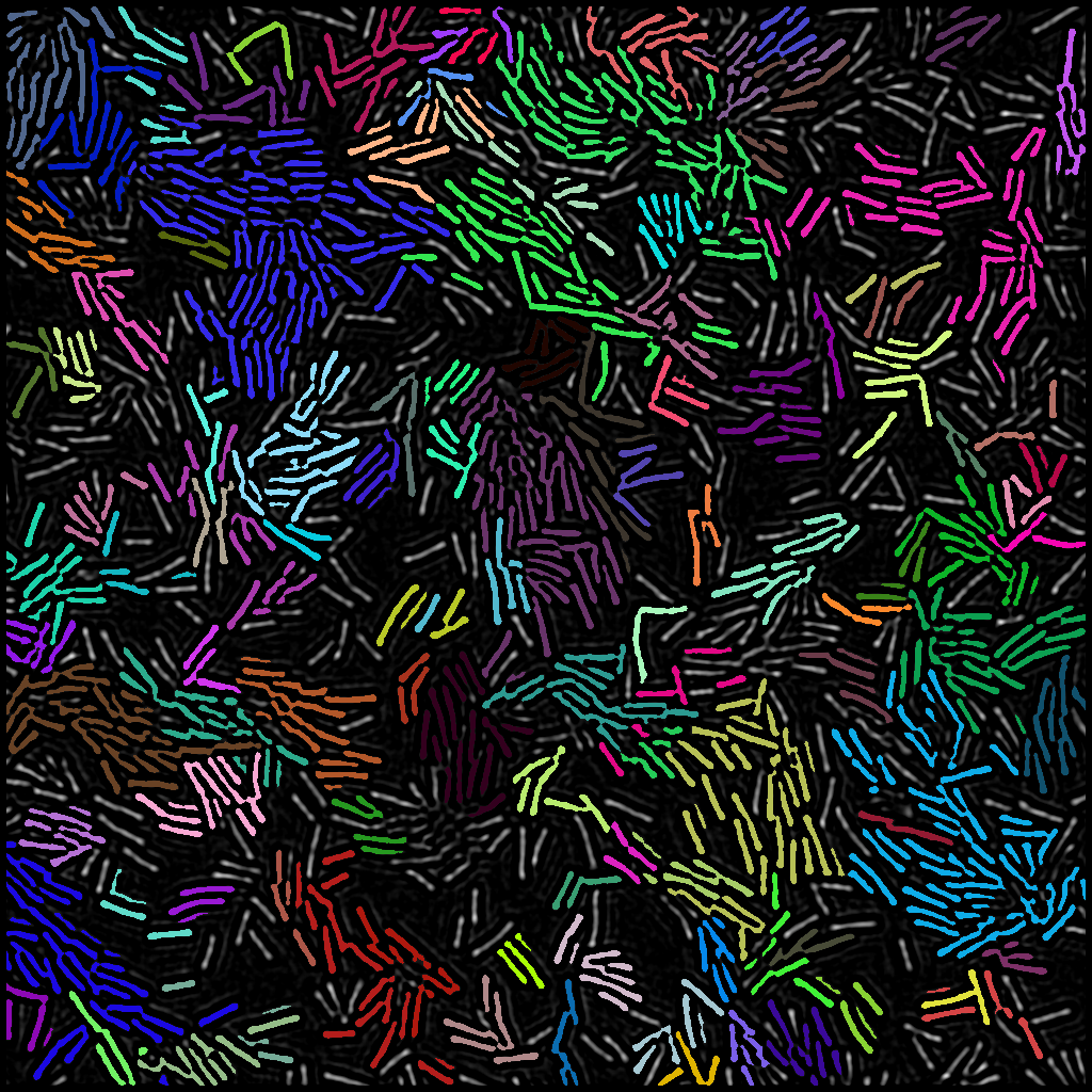 Learning the complete dynamical phase diagram of bacterial swarming