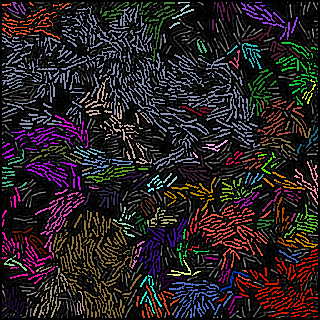 Learning the complete dynamical phase diagram of bacterial swarming