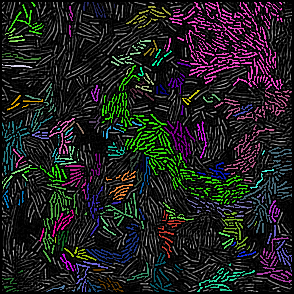 Learning the complete dynamical phase diagram of bacterial swarming