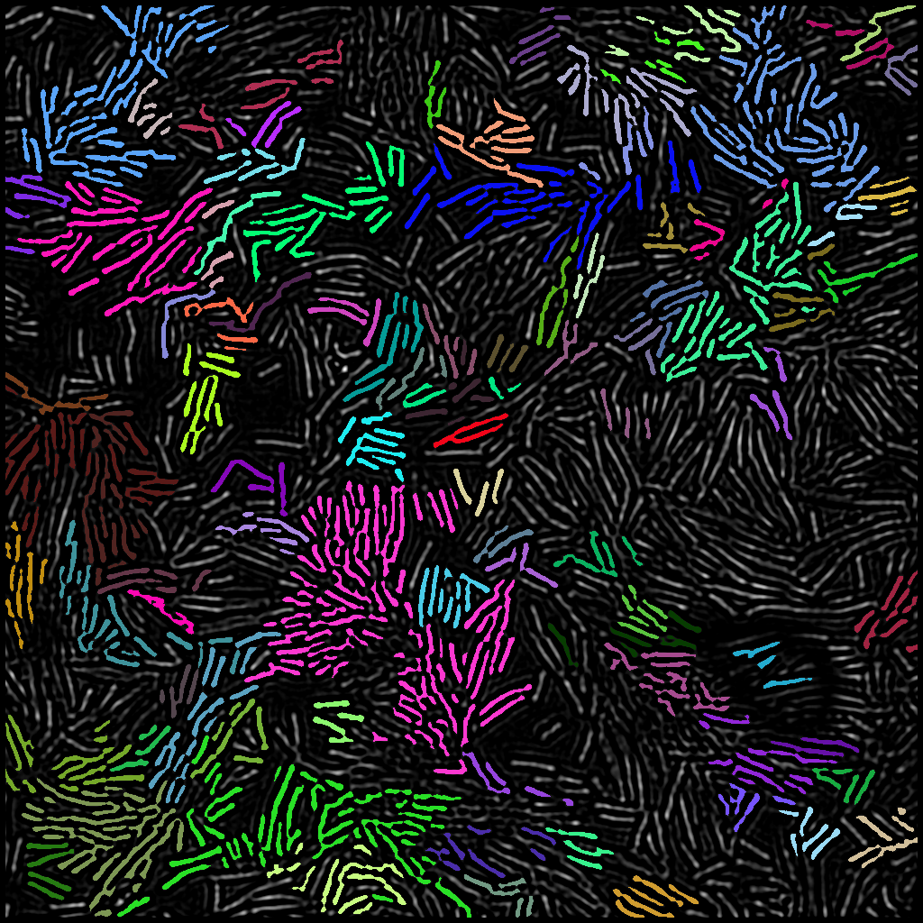 Learning the complete dynamical phase diagram of bacterial swarming