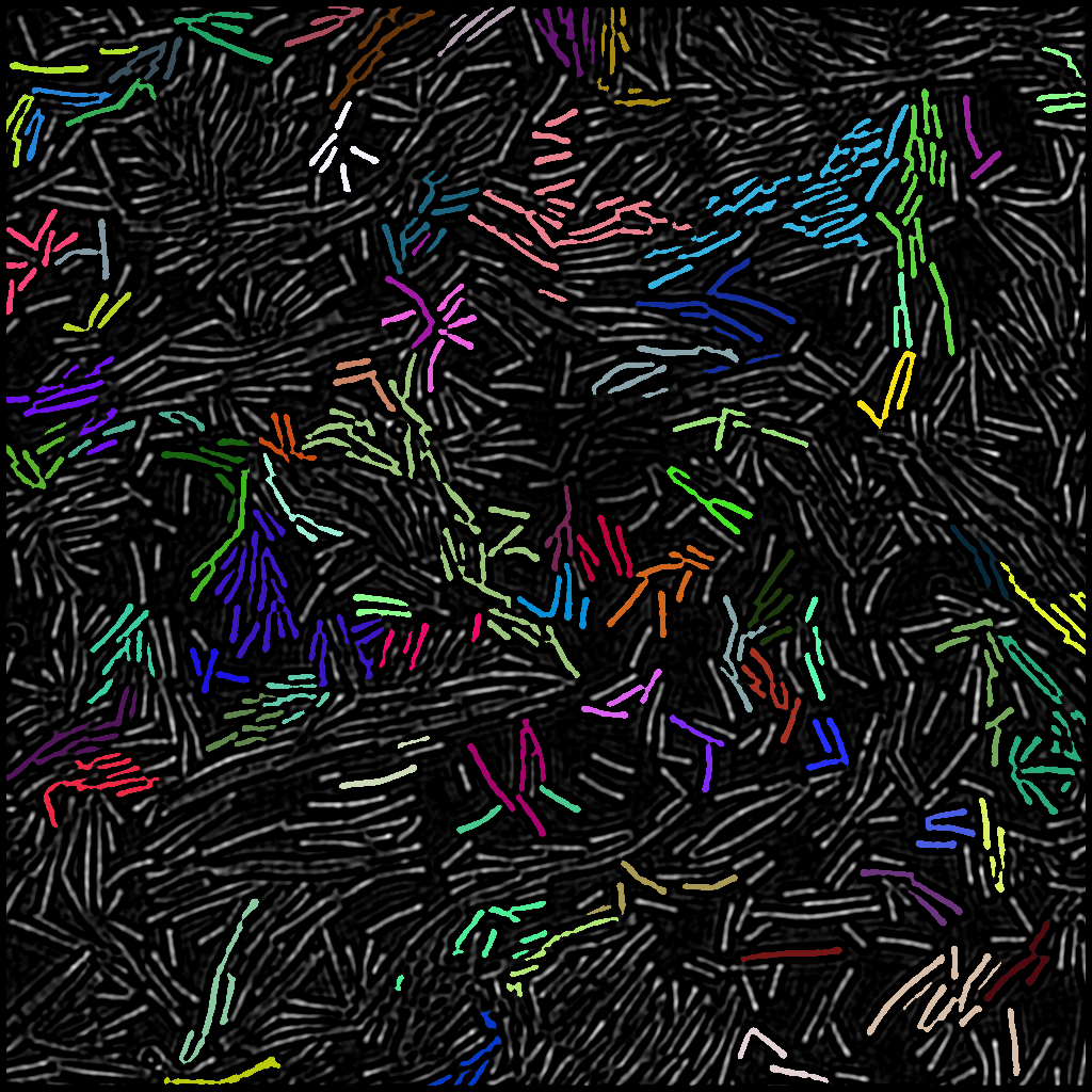 Learning the complete dynamical phase diagram of bacterial swarming