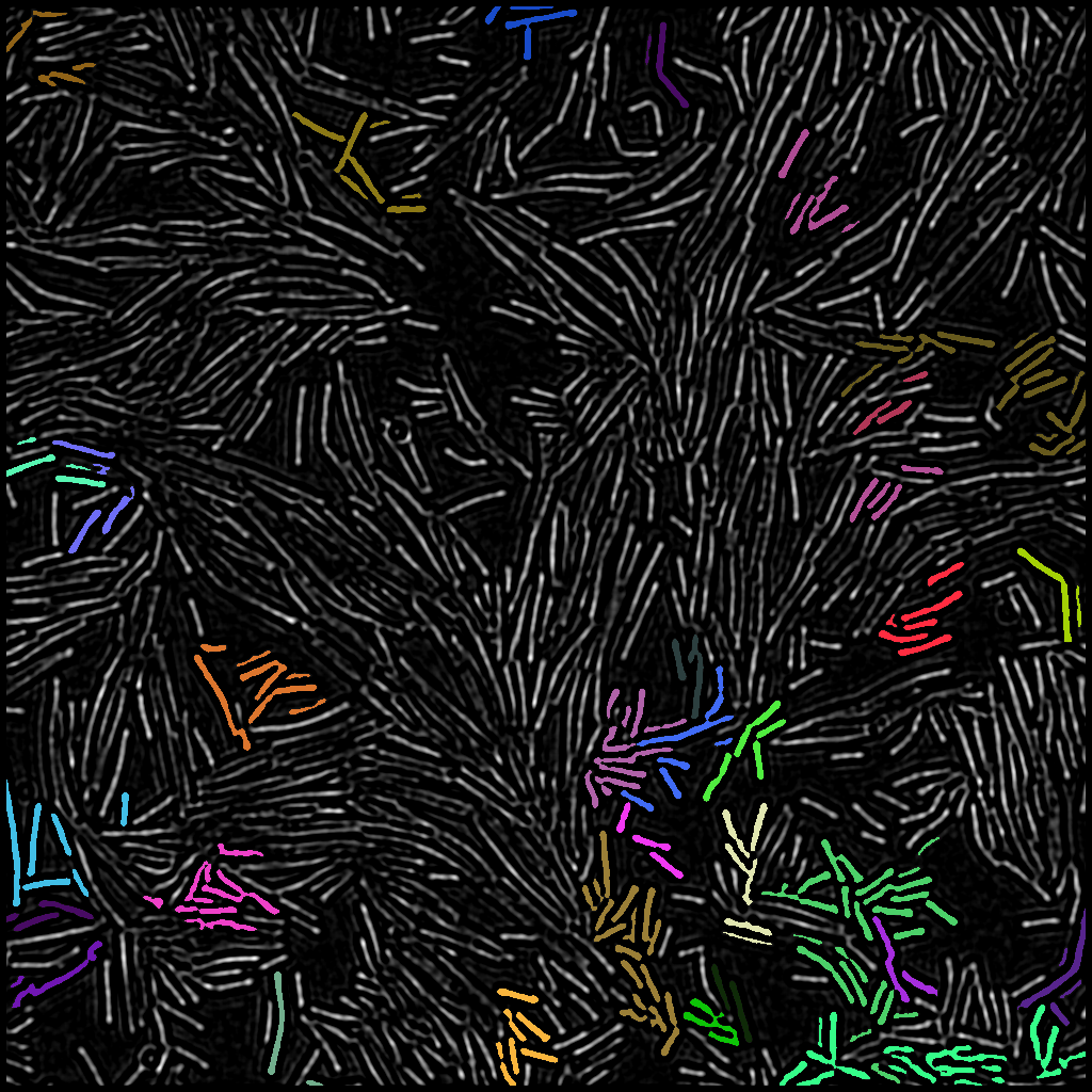 Learning the complete dynamical phase diagram of bacterial swarming