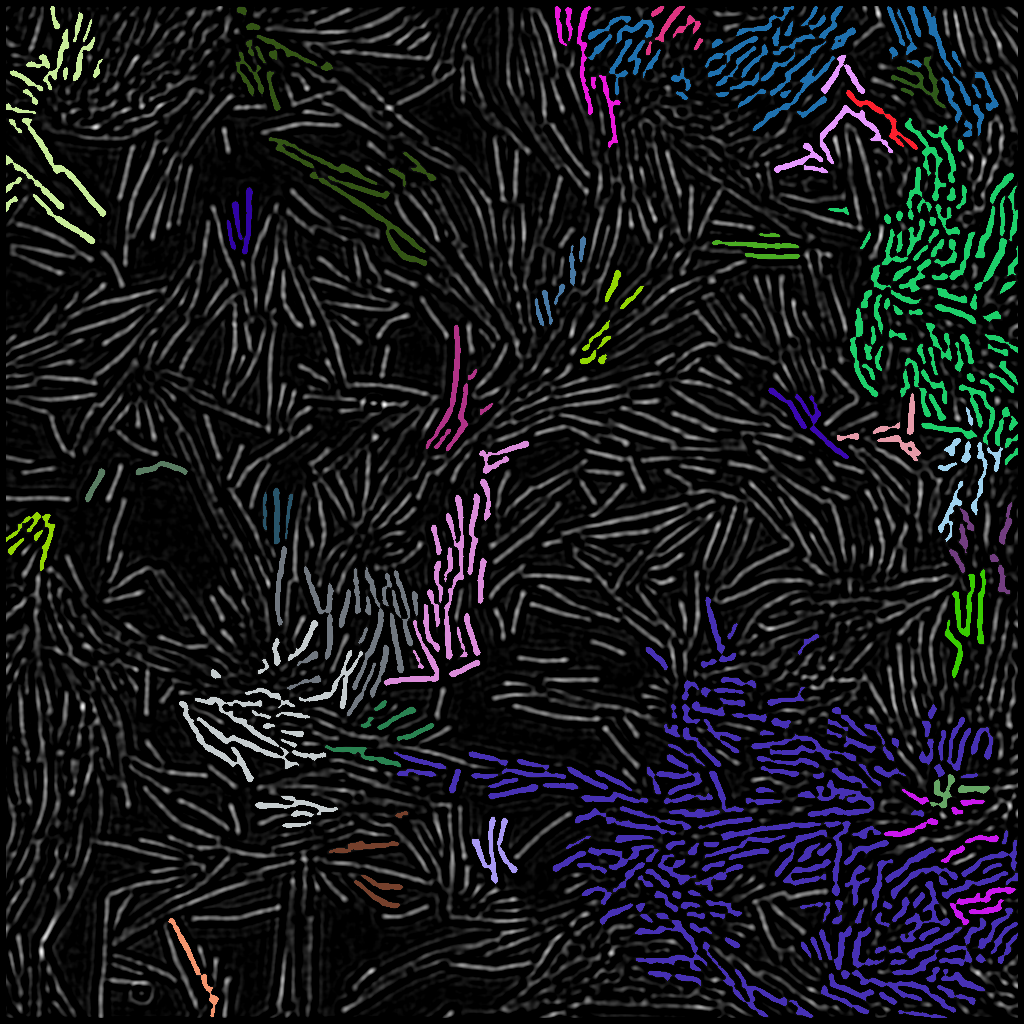 Learning the complete dynamical phase diagram of bacterial swarming