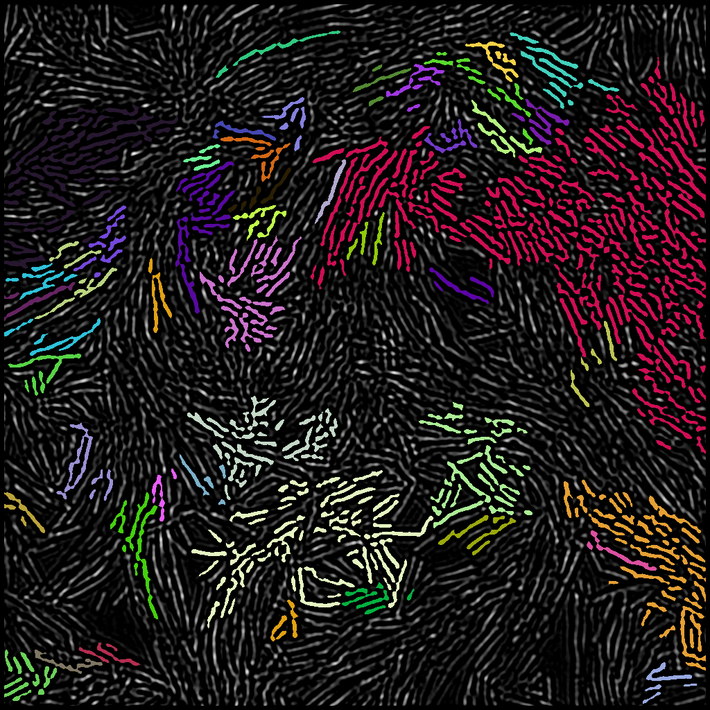 Learning the complete dynamical phase diagram of bacterial swarming