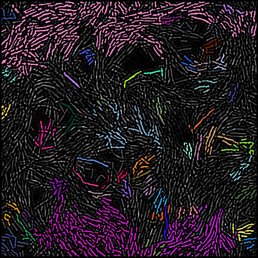 Learning the complete dynamical phase diagram of bacterial swarming