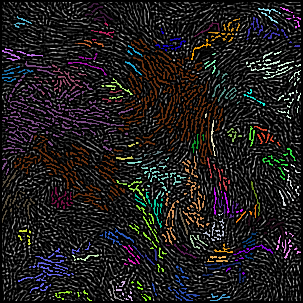 Learning the complete dynamical phase diagram of bacterial swarming