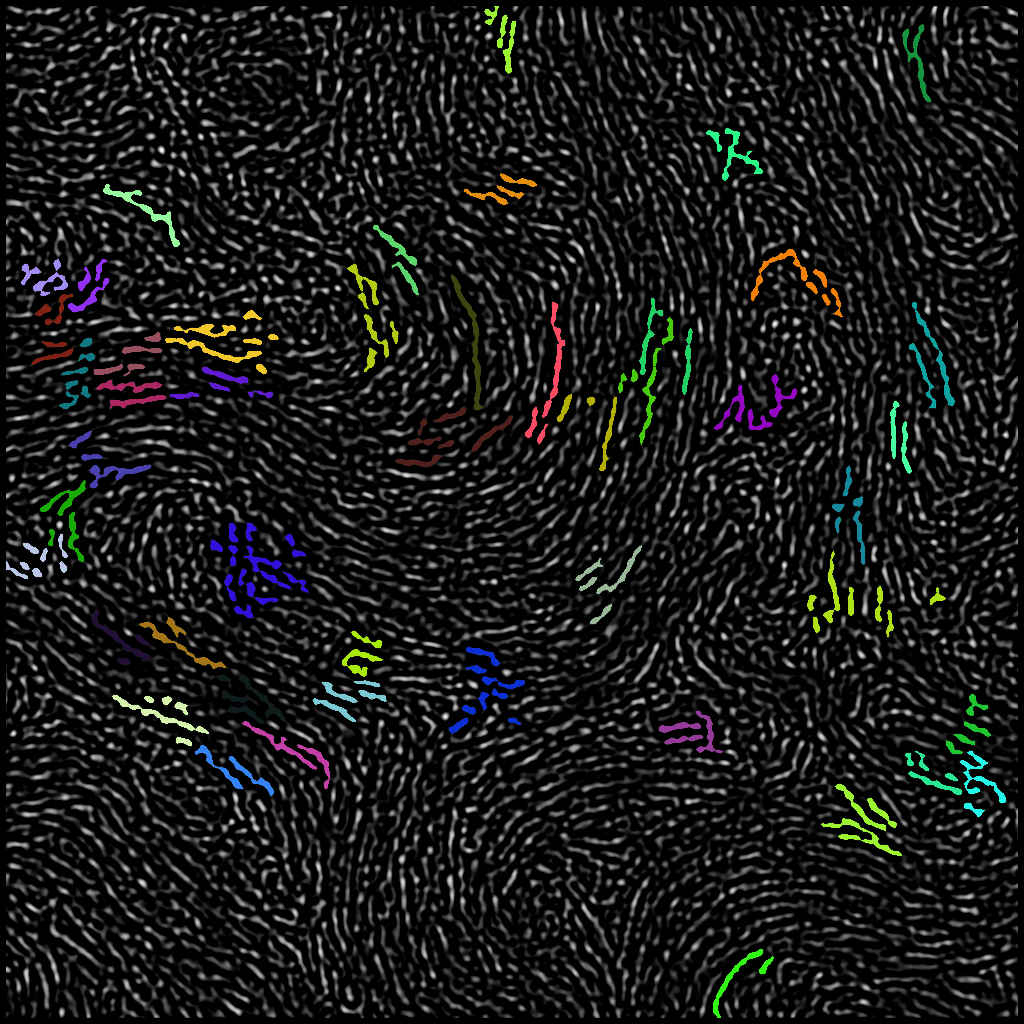 Learning the complete dynamical phase diagram of bacterial swarming