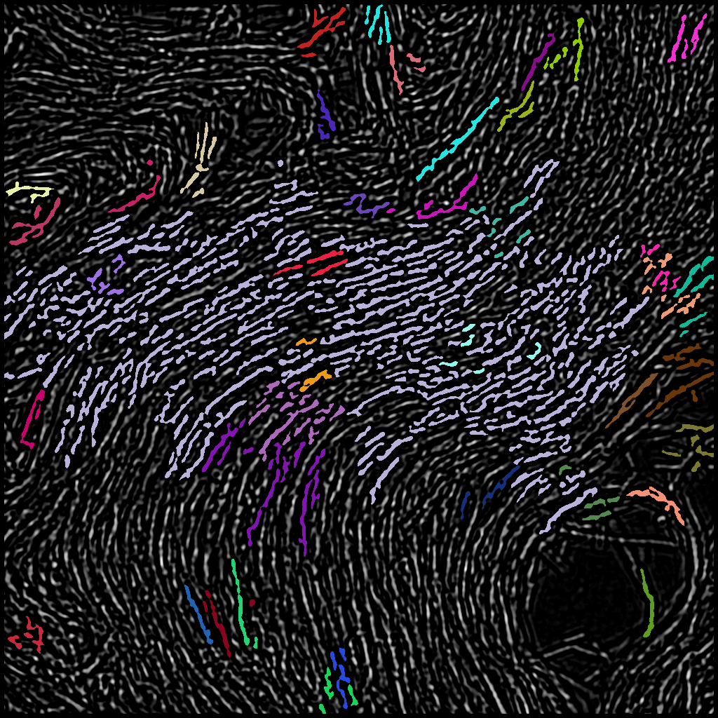 Learning the complete dynamical phase diagram of bacterial swarming