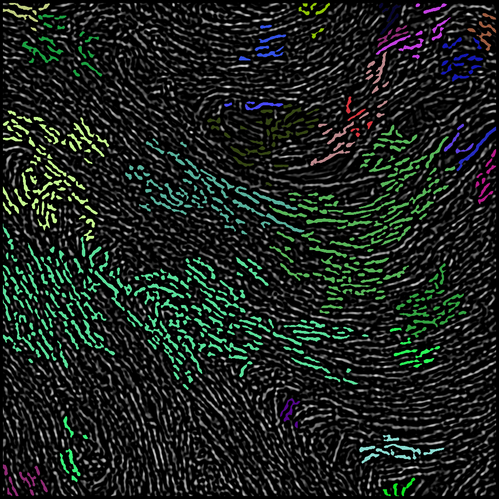 Learning the complete dynamical phase diagram of bacterial swarming