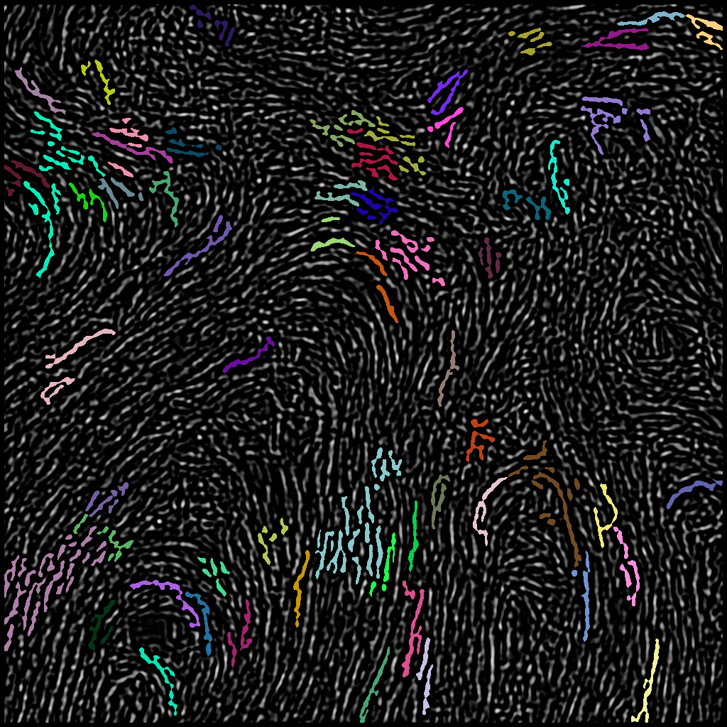 Learning the complete dynamical phase diagram of bacterial swarming