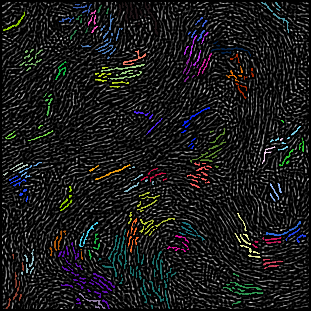 Learning the complete dynamical phase diagram of bacterial swarming