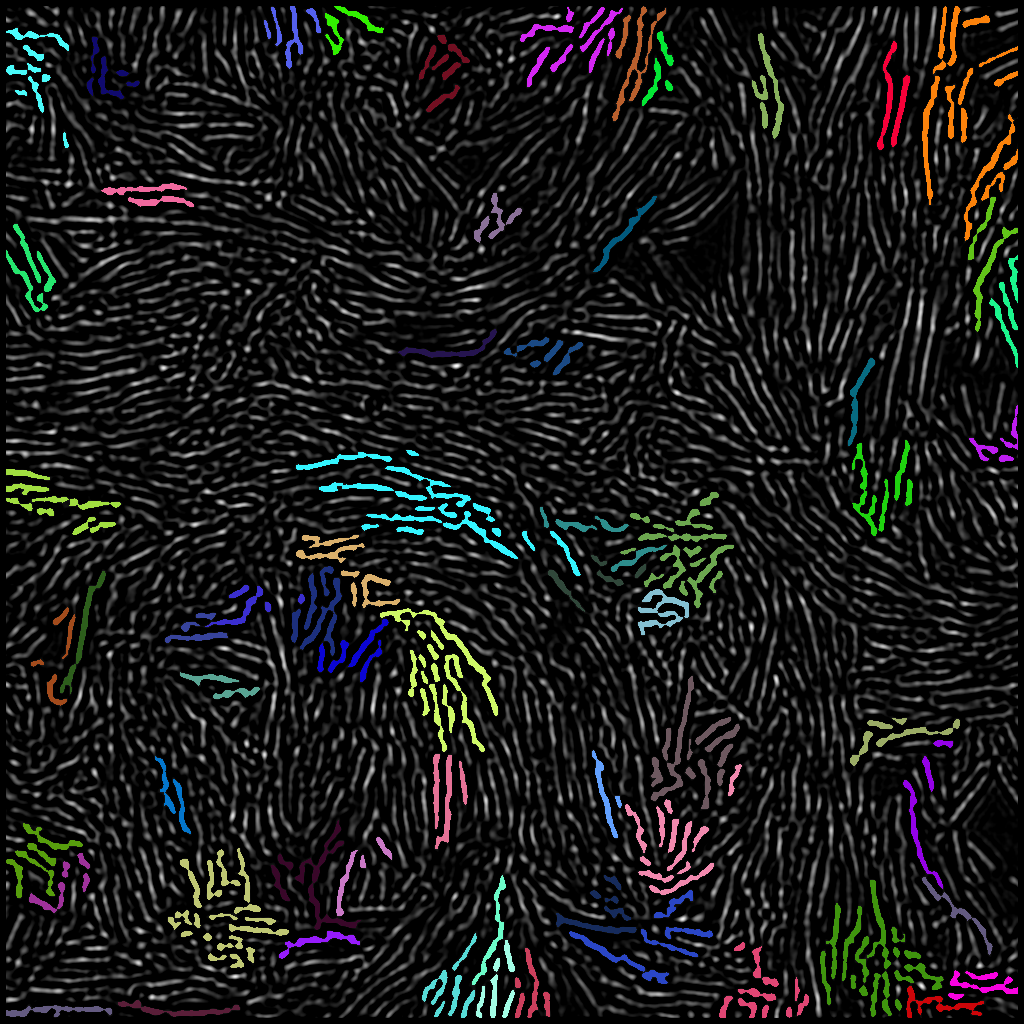 Learning the complete dynamical phase diagram of bacterial swarming