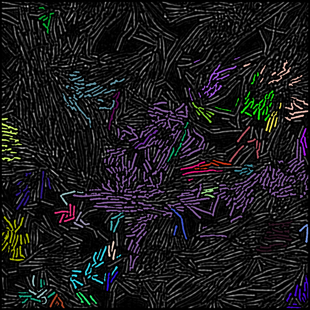Learning the complete dynamical phase diagram of bacterial swarming
