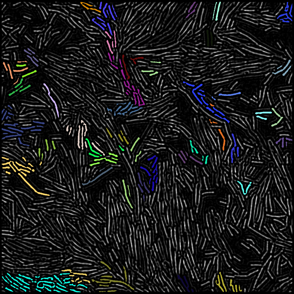 Learning the complete dynamical phase diagram of bacterial swarming