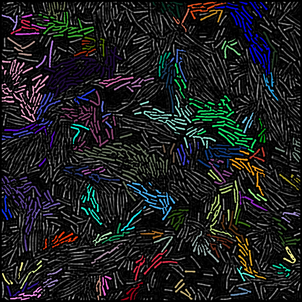Learning the complete dynamical phase diagram of bacterial swarming