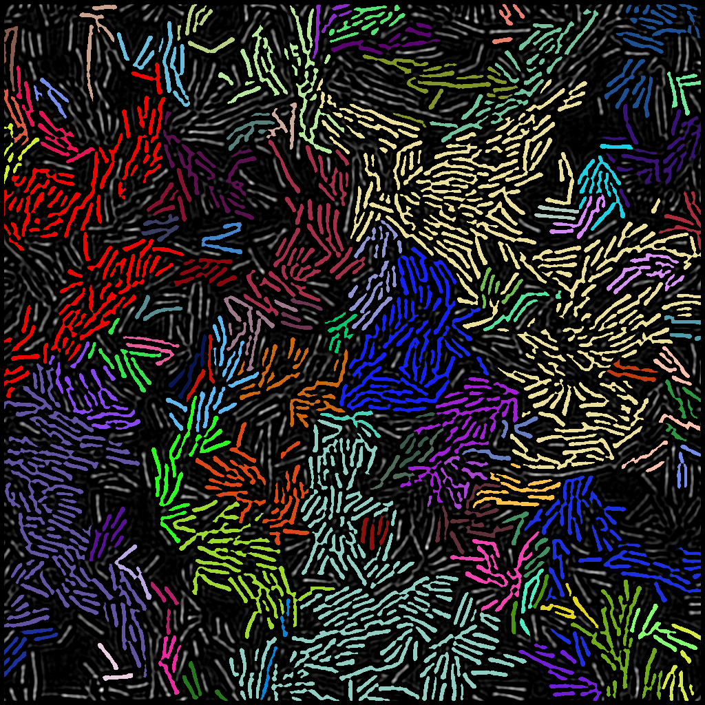 Learning the complete dynamical phase diagram of bacterial swarming