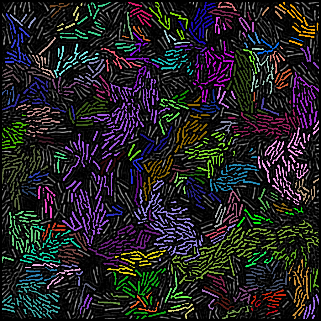 Learning the complete dynamical phase diagram of bacterial swarming