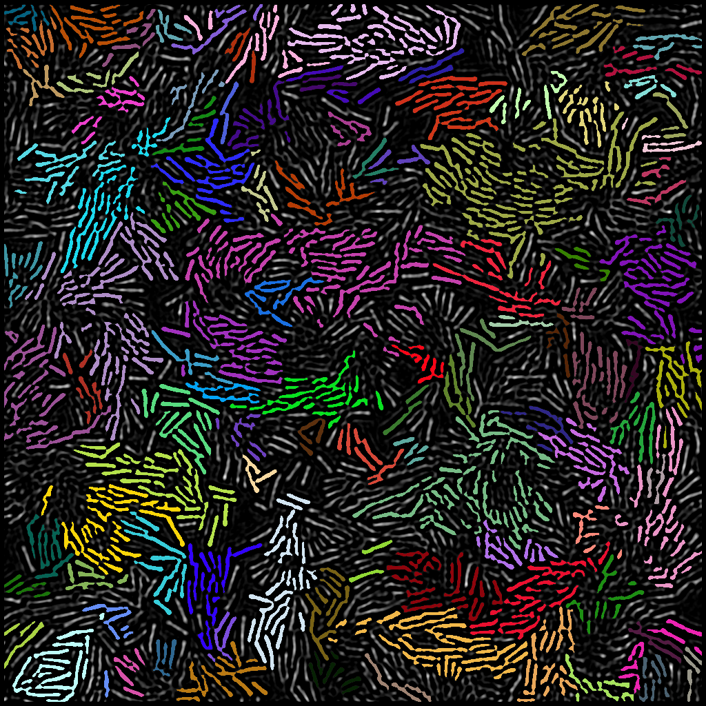 Learning the complete dynamical phase diagram of bacterial swarming