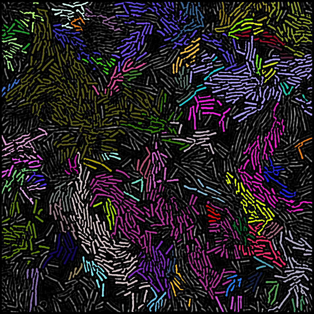 Learning the complete dynamical phase diagram of bacterial swarming