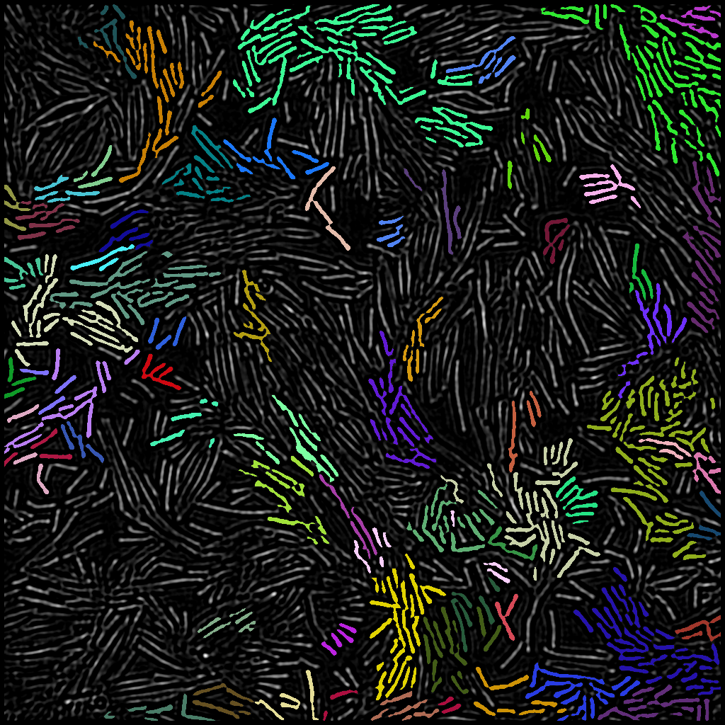 Learning the complete dynamical phase diagram of bacterial swarming