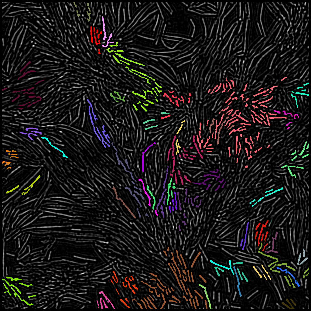 Learning the complete dynamical phase diagram of bacterial swarming