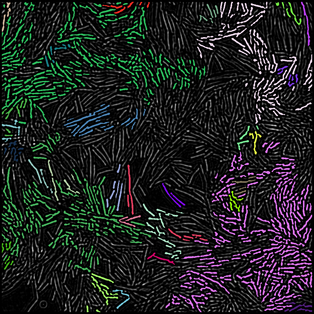 Learning the complete dynamical phase diagram of bacterial swarming
