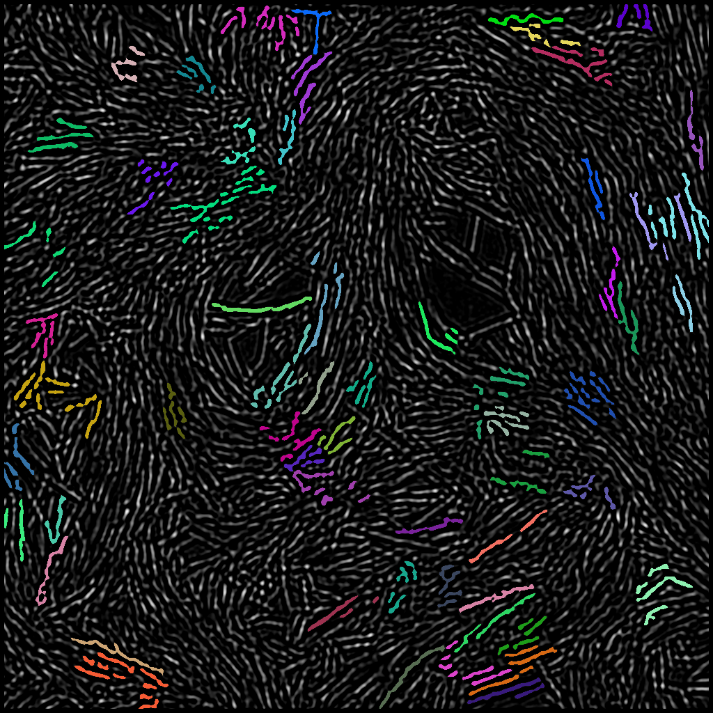 Learning the complete dynamical phase diagram of bacterial swarming