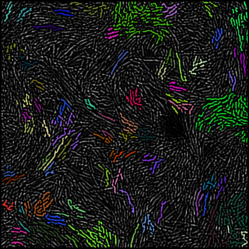 Learning the complete dynamical phase diagram of bacterial swarming