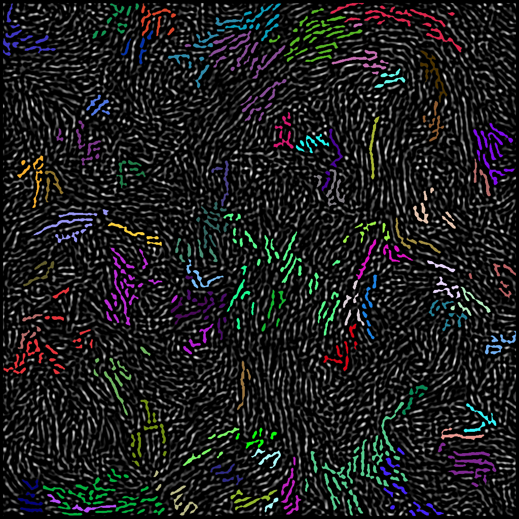Learning the complete dynamical phase diagram of bacterial swarming