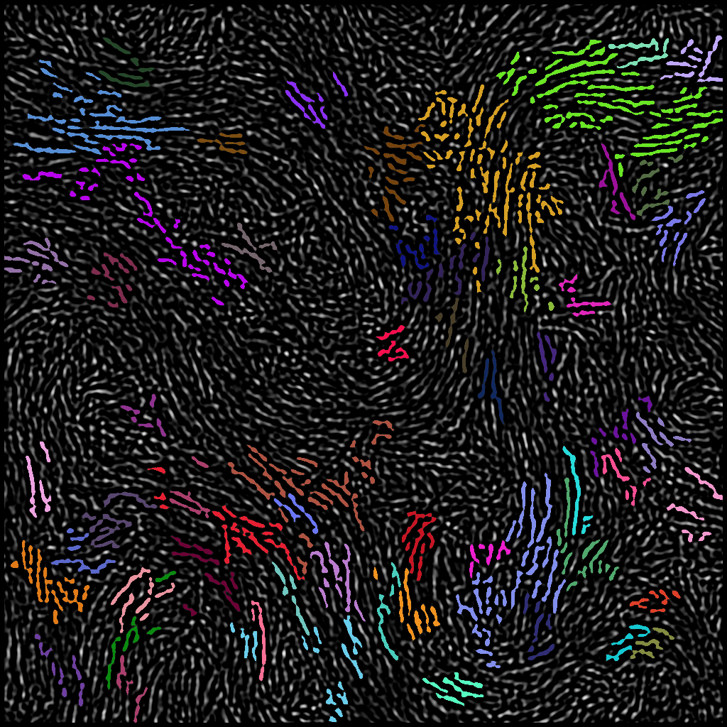 Learning the complete dynamical phase diagram of bacterial swarming