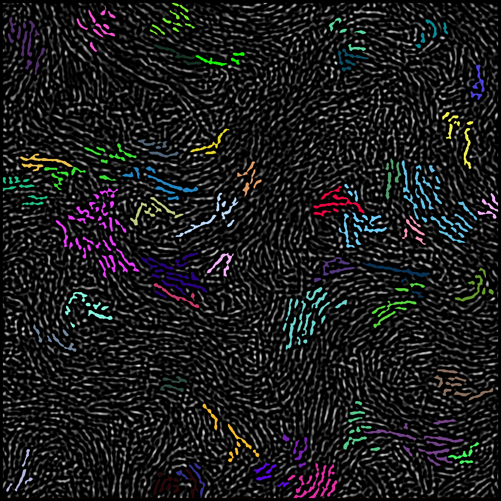 Learning the complete dynamical phase diagram of bacterial swarming