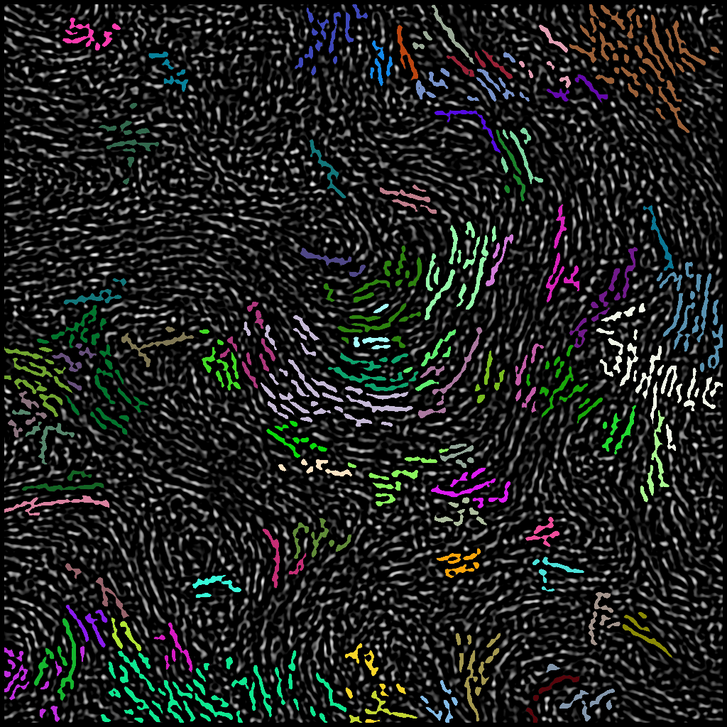 Learning the complete dynamical phase diagram of bacterial swarming