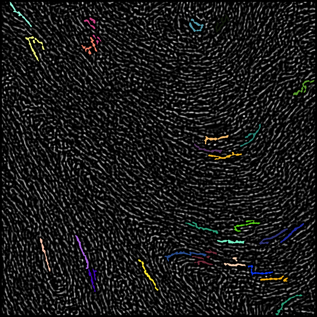 Learning the complete dynamical phase diagram of bacterial swarming