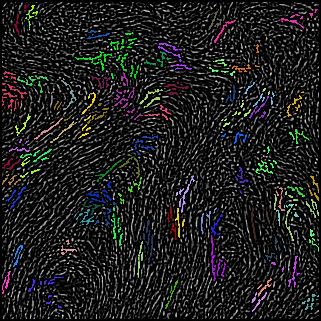 Learning the complete dynamical phase diagram of bacterial swarming