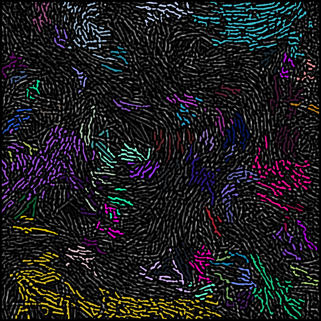Learning the complete dynamical phase diagram of bacterial swarming