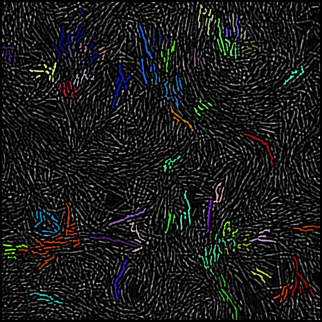 Learning the complete dynamical phase diagram of bacterial swarming