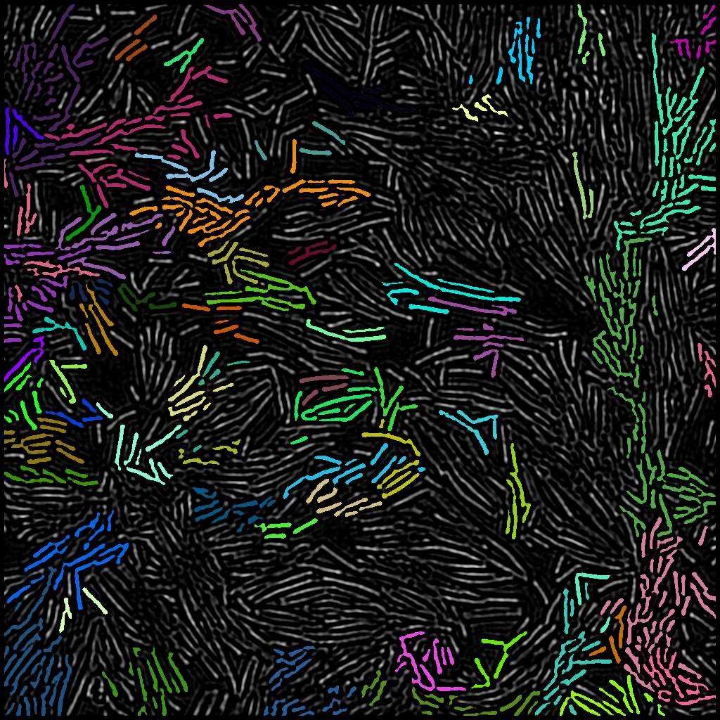 Learning the complete dynamical phase diagram of bacterial swarming